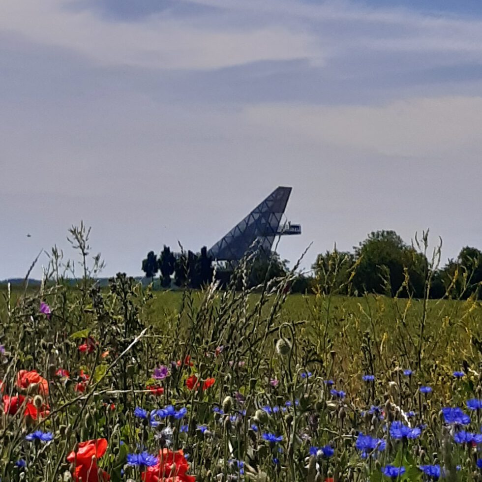 Aktuelles | Öhringen. Lieblingsstadt.